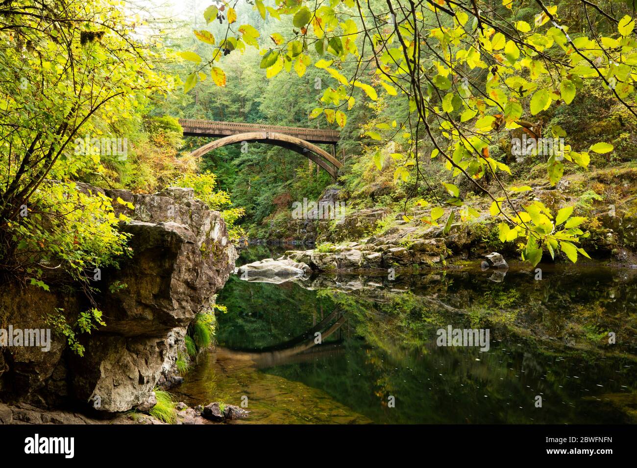 Bridge in forest reflecting in river, Portland, Oregon, USA Stock Photo ...