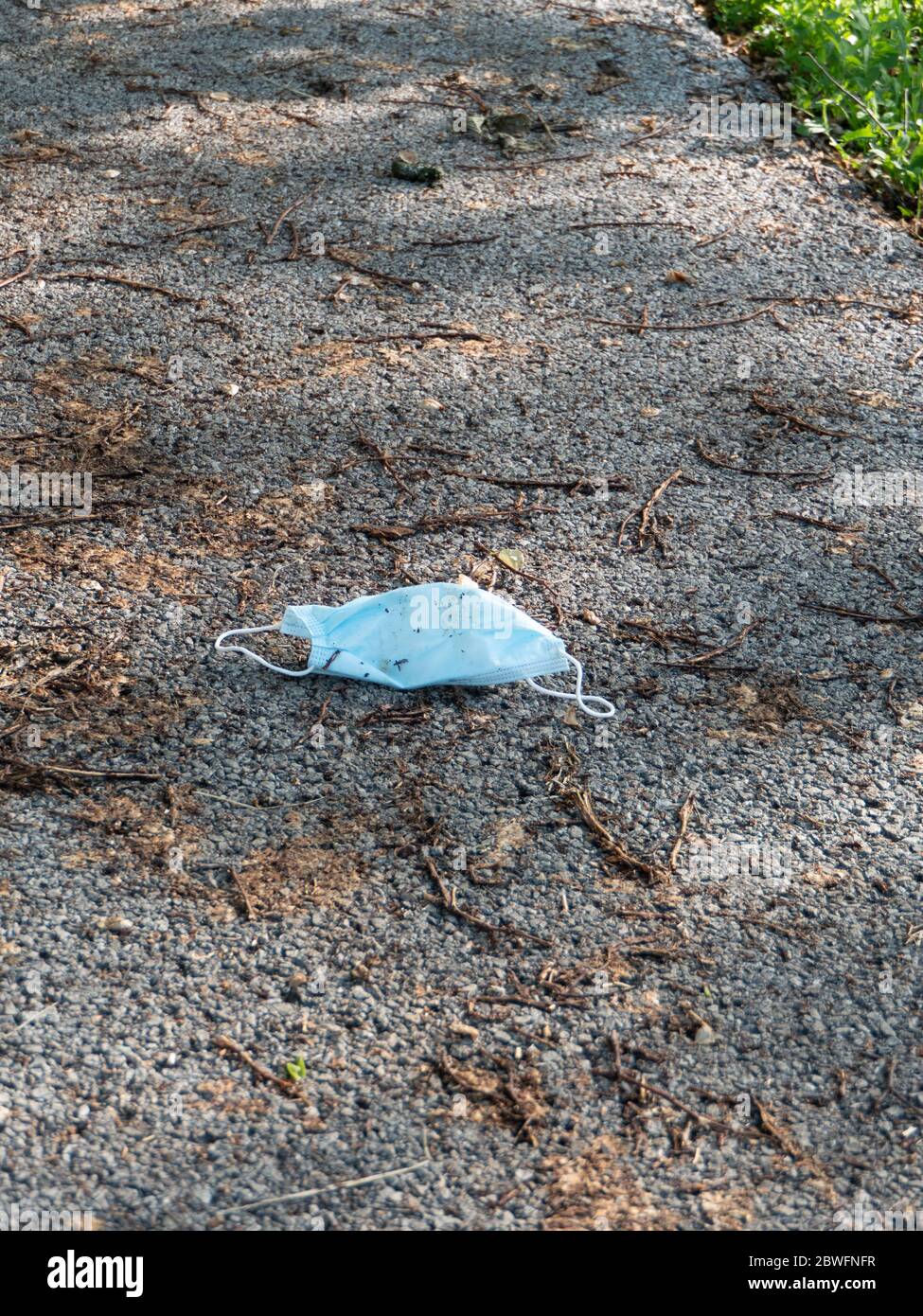 Discarded blue surgical mask for germ protection.PPE (personal ...