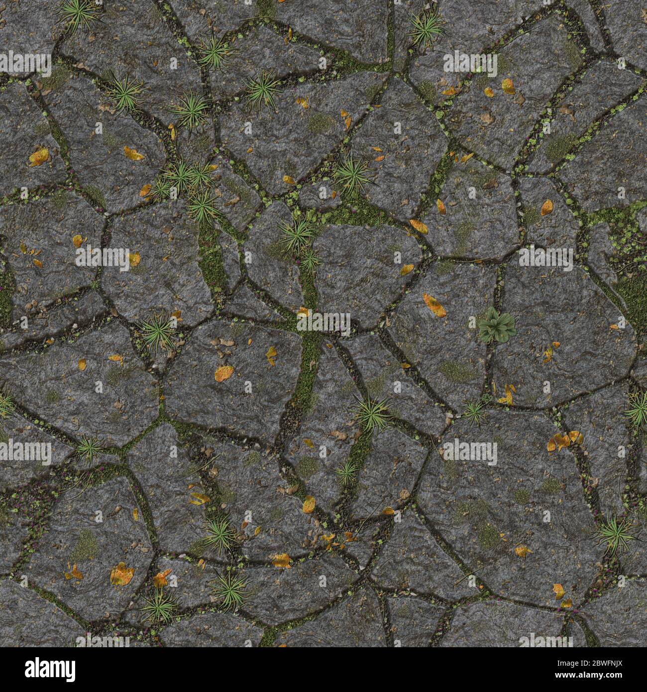 Seamless texture flagstone hi-res stock photography and images - Alamy