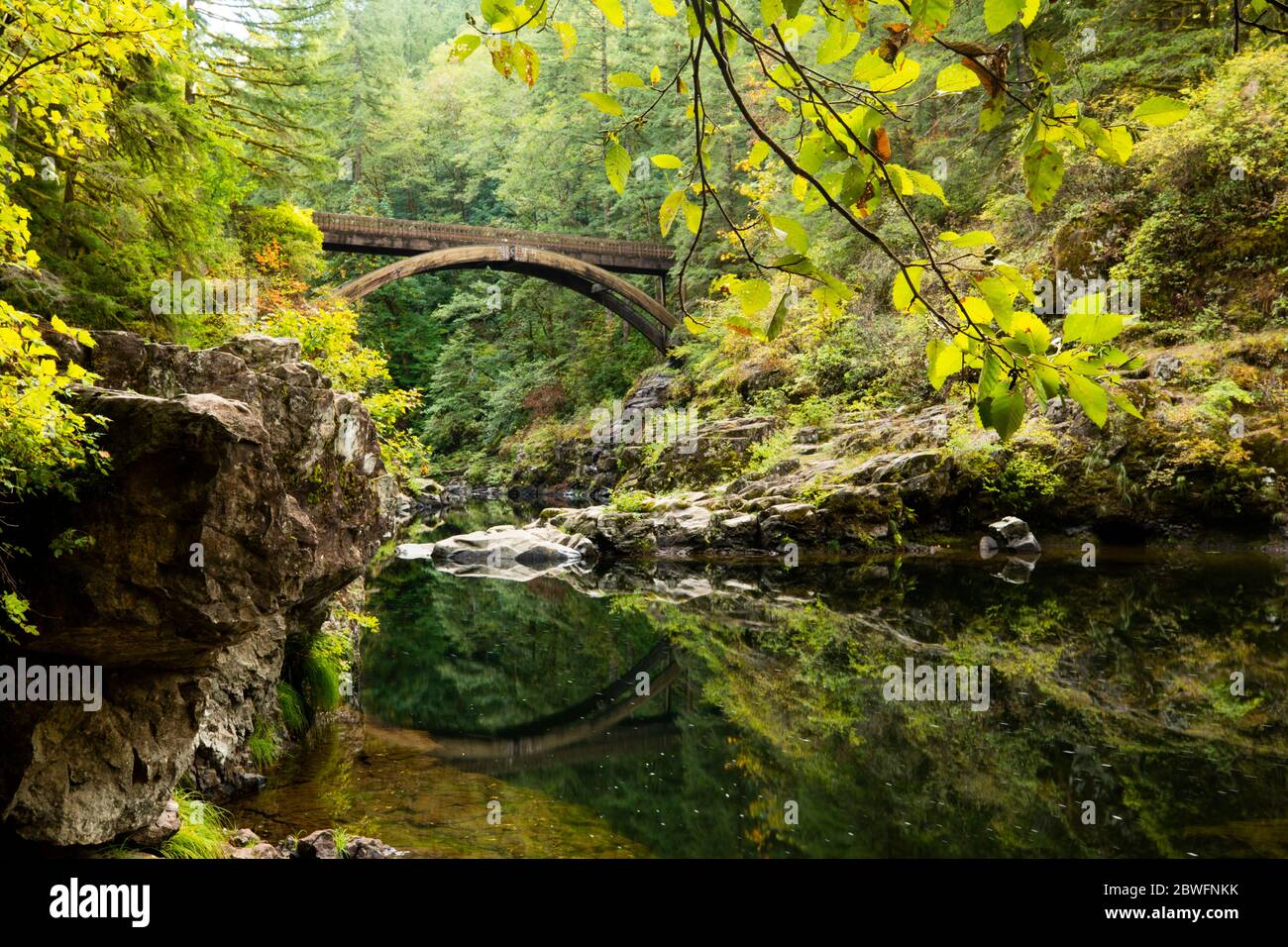 Forest view in Portland, Oregon, USA Stock Photo - Alamy