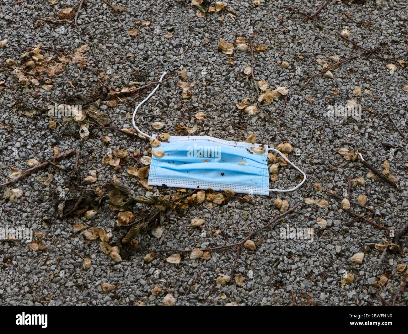 Discarded blue surgical mask for germ protection.PPE (personal ...