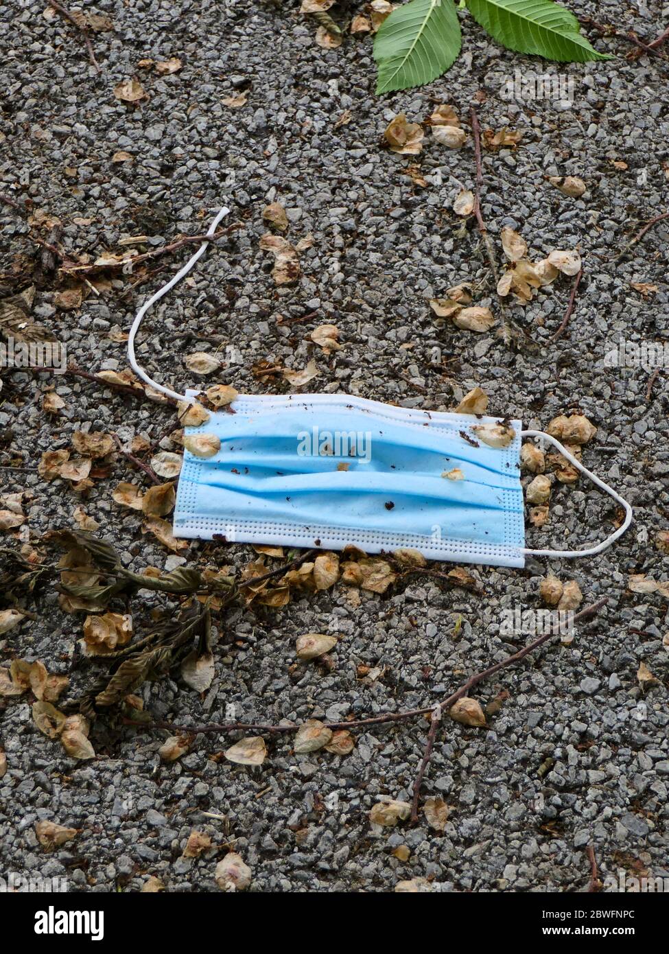 Discarded blue surgical mask for germ protection.PPE (personal ...