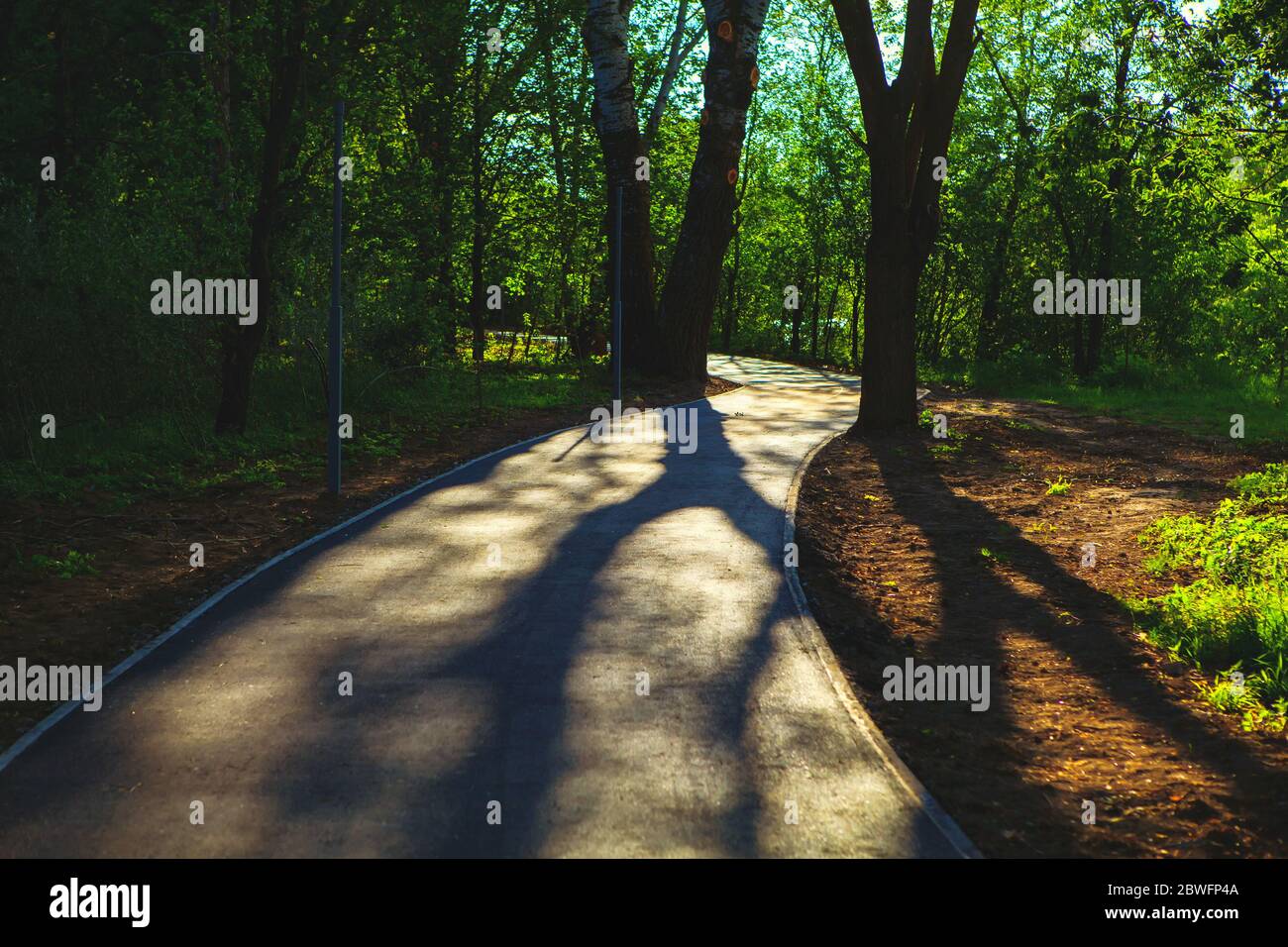 walking path and shadows of the trees Stock Photo - Alamy