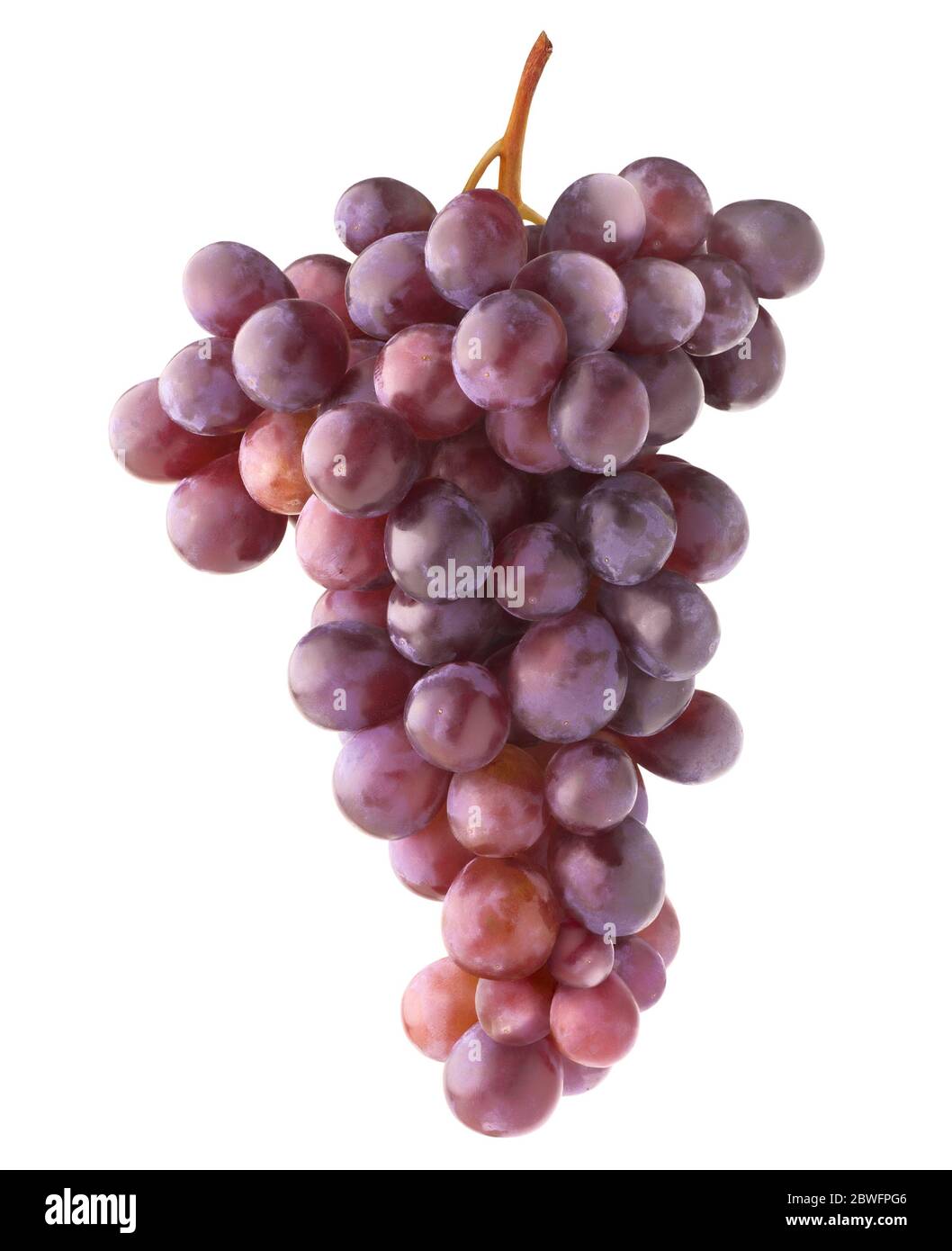 Bunch of red grapes hanging on stem on white background Stock Photo - Alamy