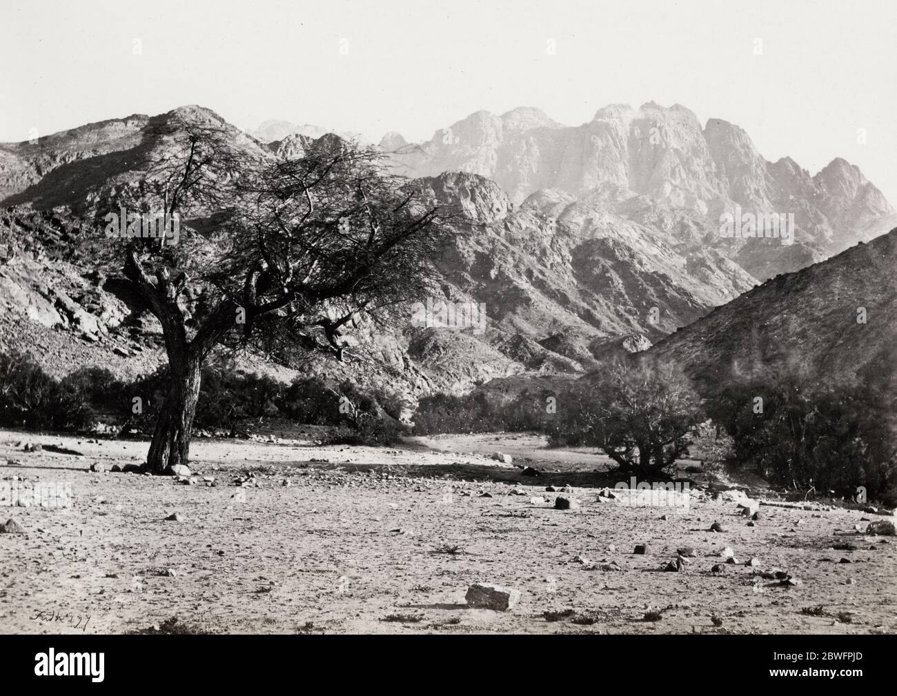 Wadi feiran hi-res stock photography and images - Alamy