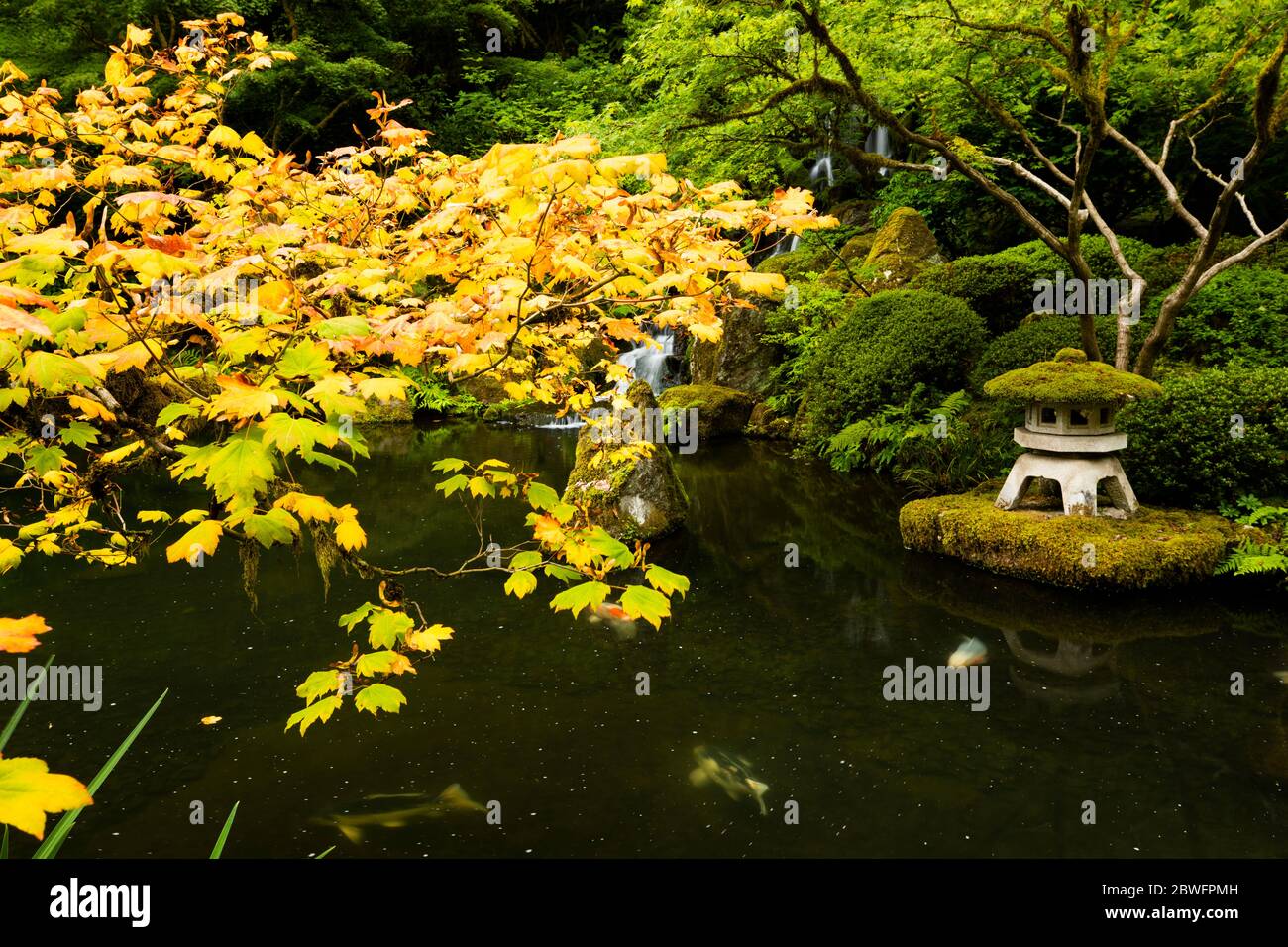 Japanese garden water trees hi-res stock photography and images - Alamy