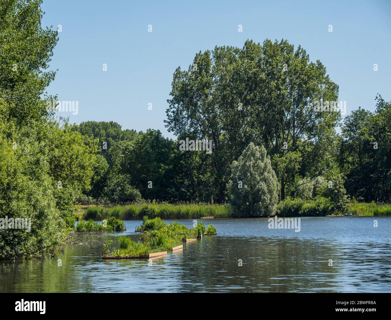 river and lake in germany Stock Photo - Alamy