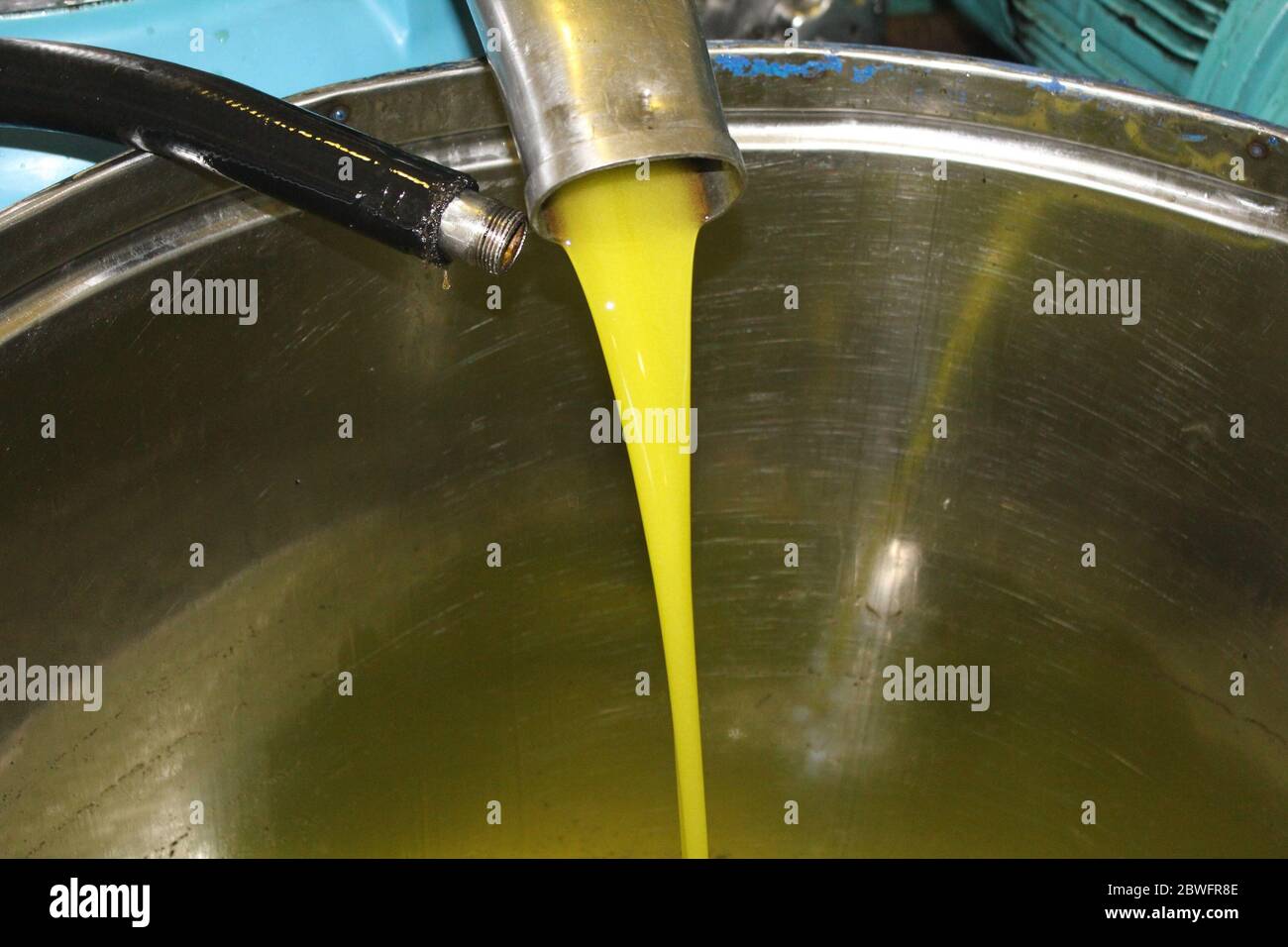 Greece, Attica, extra virgin olive oil extraction process in olive oil ...