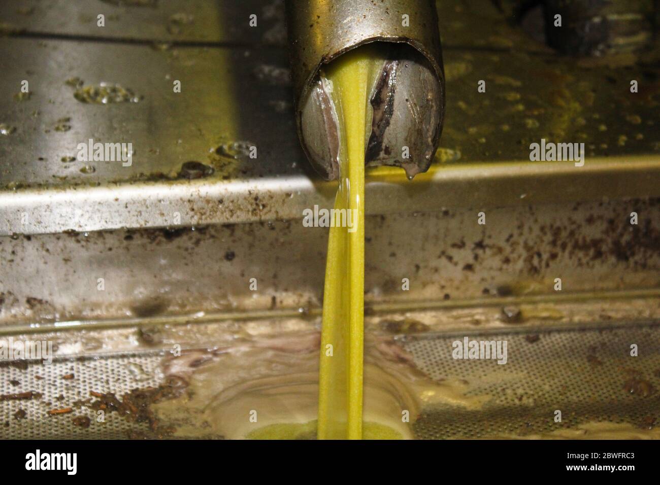 Extra virgin olive oil extraction process in olive oil mill in Greece ...