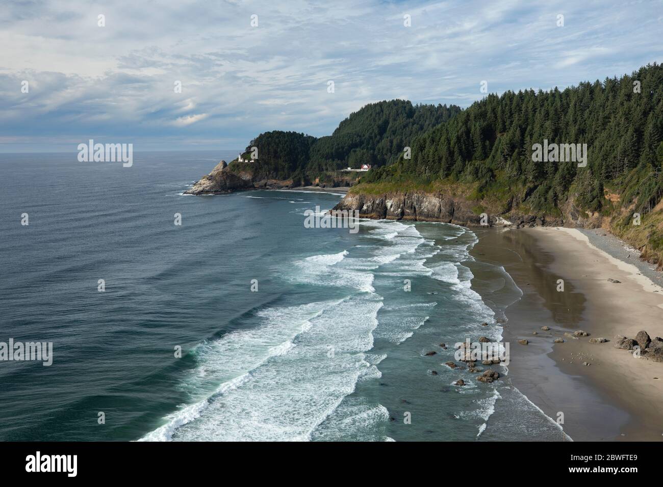 Water wave and beach tree hi-res stock photography and images - Alamy