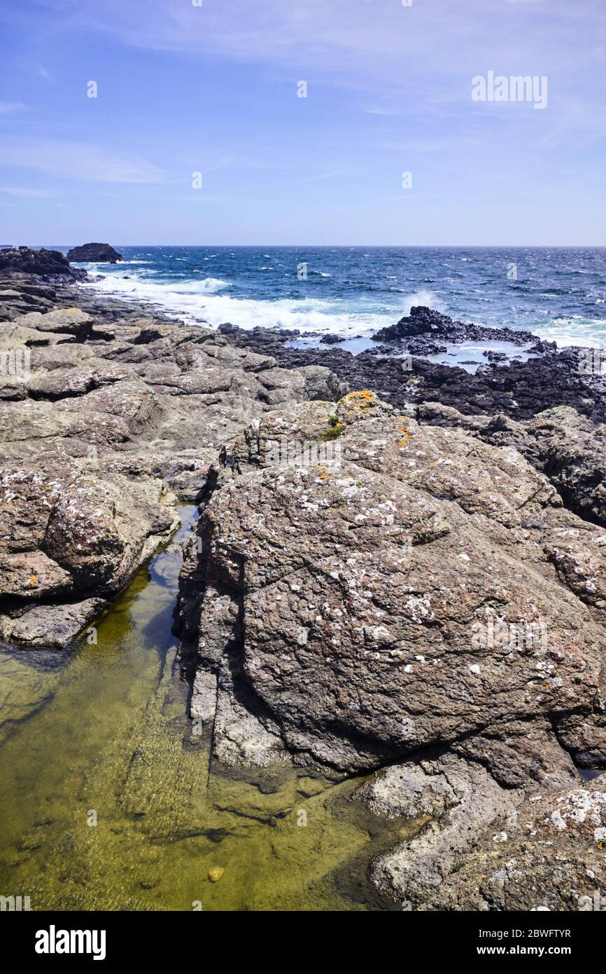 Even when the tide is out there are little rockpools that are trapped ...