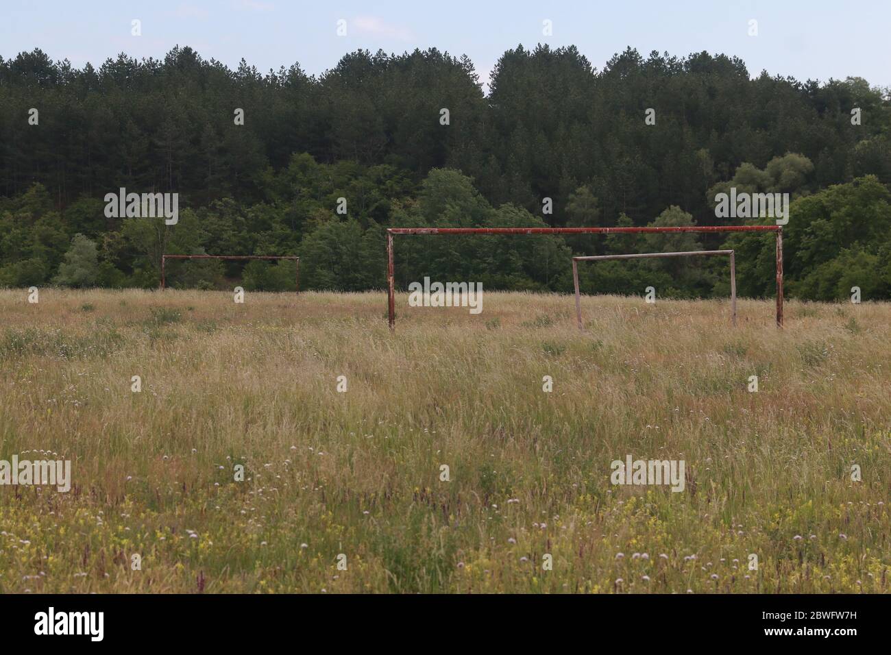 Abandoned football field overgrown with tall grass. Empty football goal ...