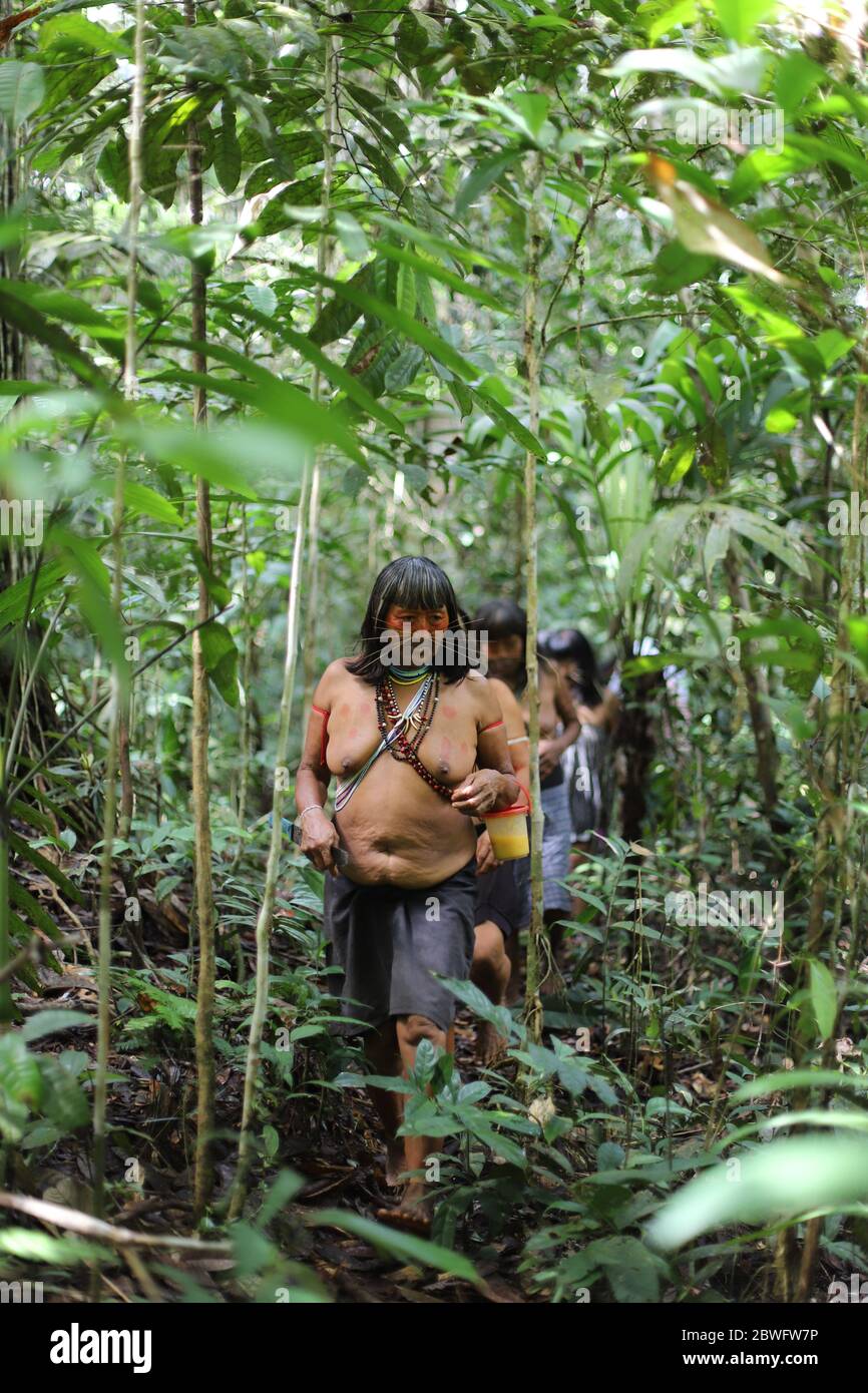 Amazonian Tribes Hunting