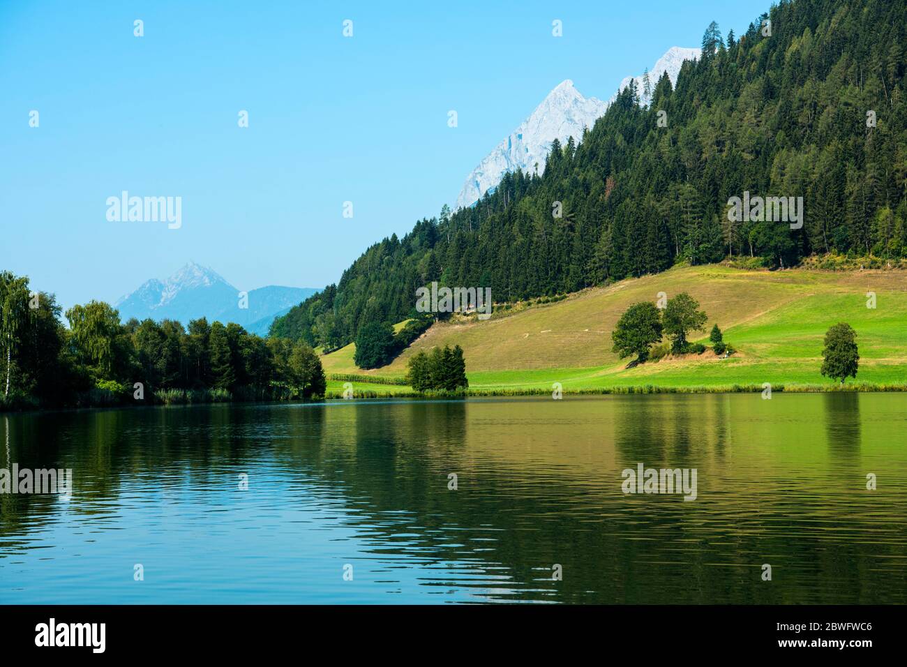 Putterer see hi-res stock photography and images - Alamy