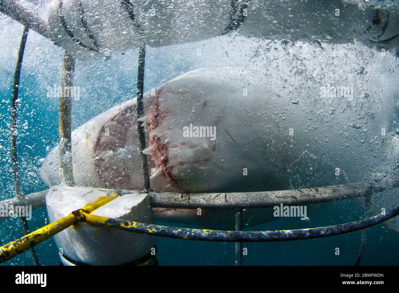 Gnashing of teeth hi-res stock photography and images - Alamy