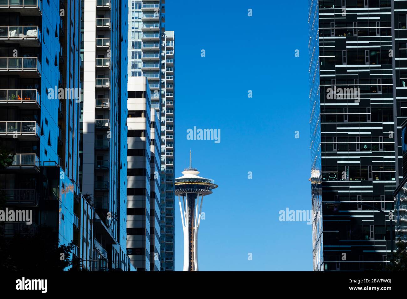 Space Needle between modern skyscrapers, Seattle, Washington, USA Stock ...