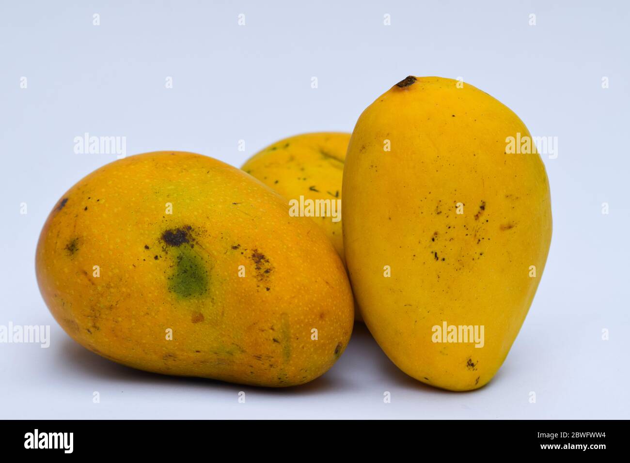 Fresh Badam / Badami Mangoe variety from India, Andhrapradesh karnataka ...