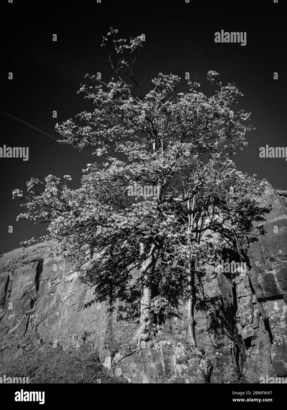 Stone mountain park quarry Black and White Stock Photos & Images - Alamy