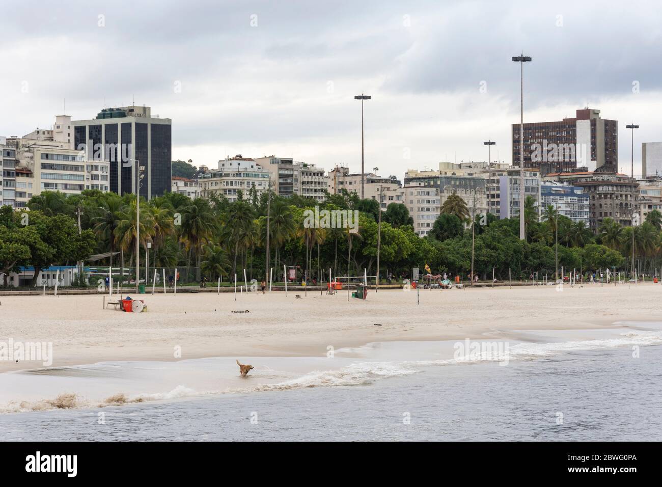 Beautiful view to Flamengo Beach buildings and trees by the waterfront ...