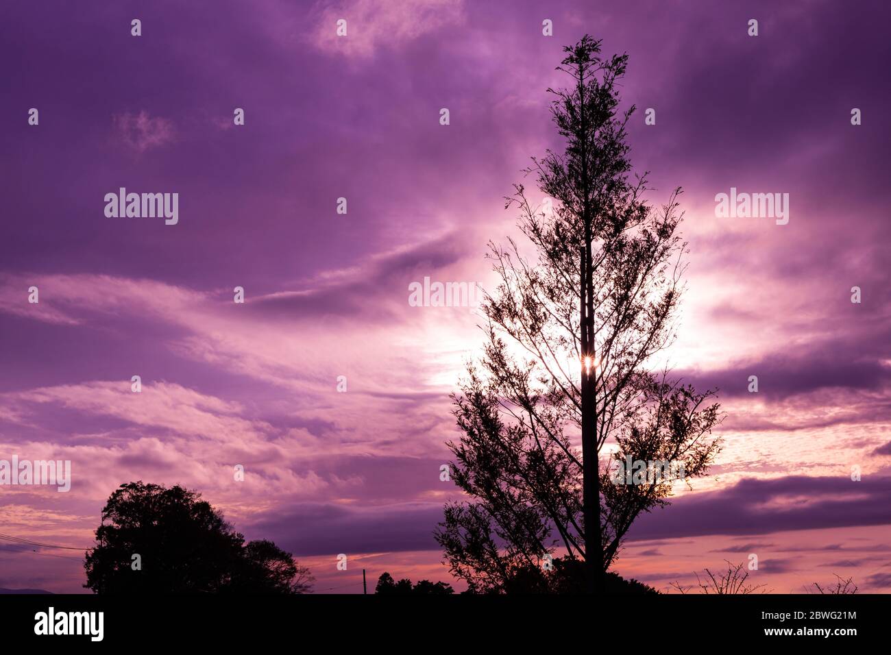 The Mishima Skywalk is a picturesque scenery spot where you can see Mt ...