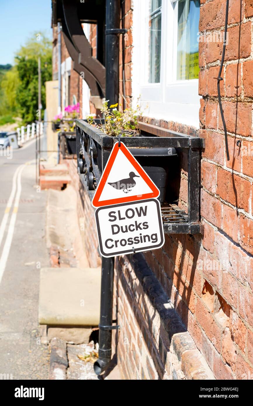 Warning ducks crossing uk road sign hi-res stock photography and images ...