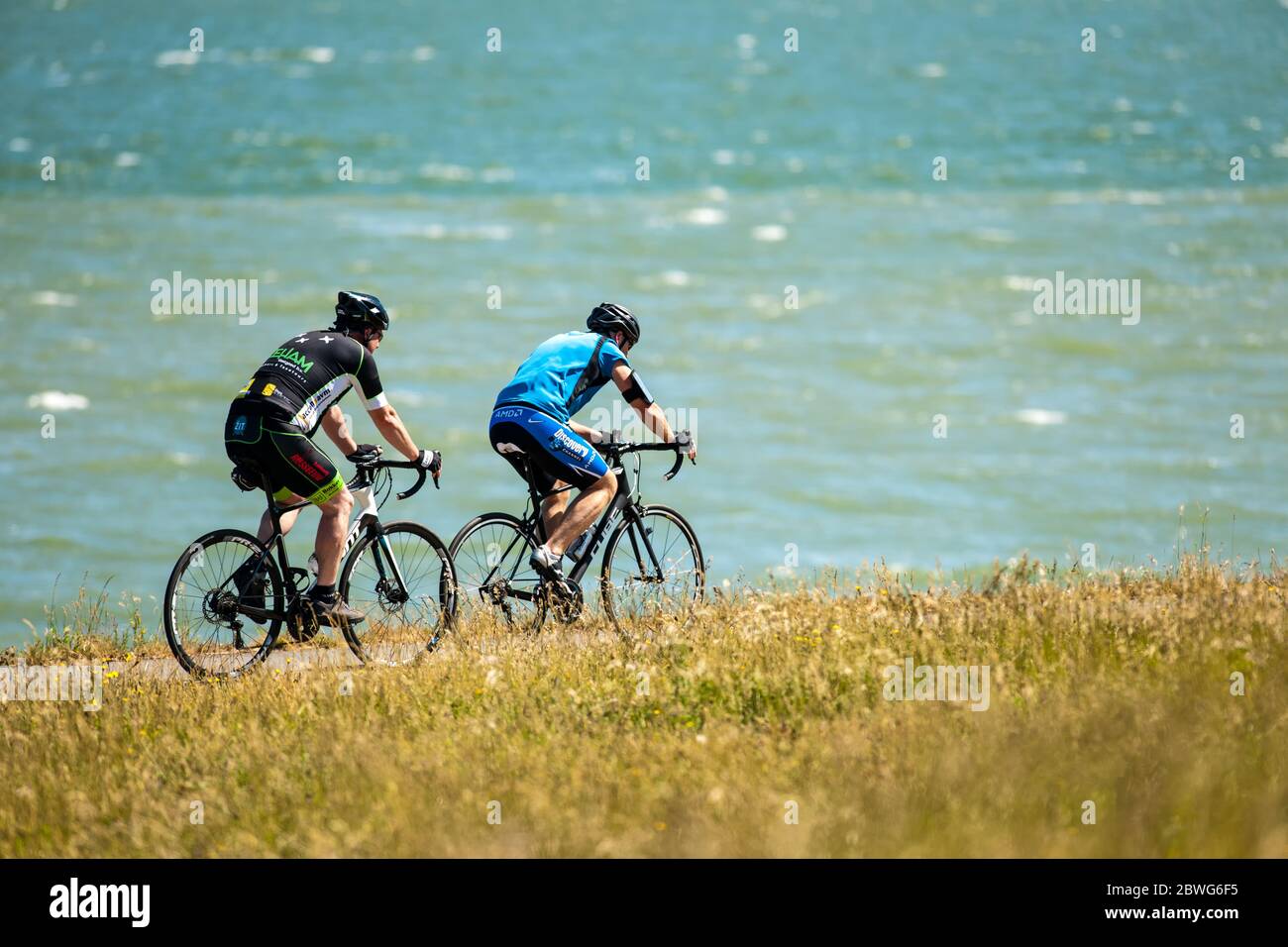 two cyclists cycle along the Dutch coastline Stock Photo - Alamy