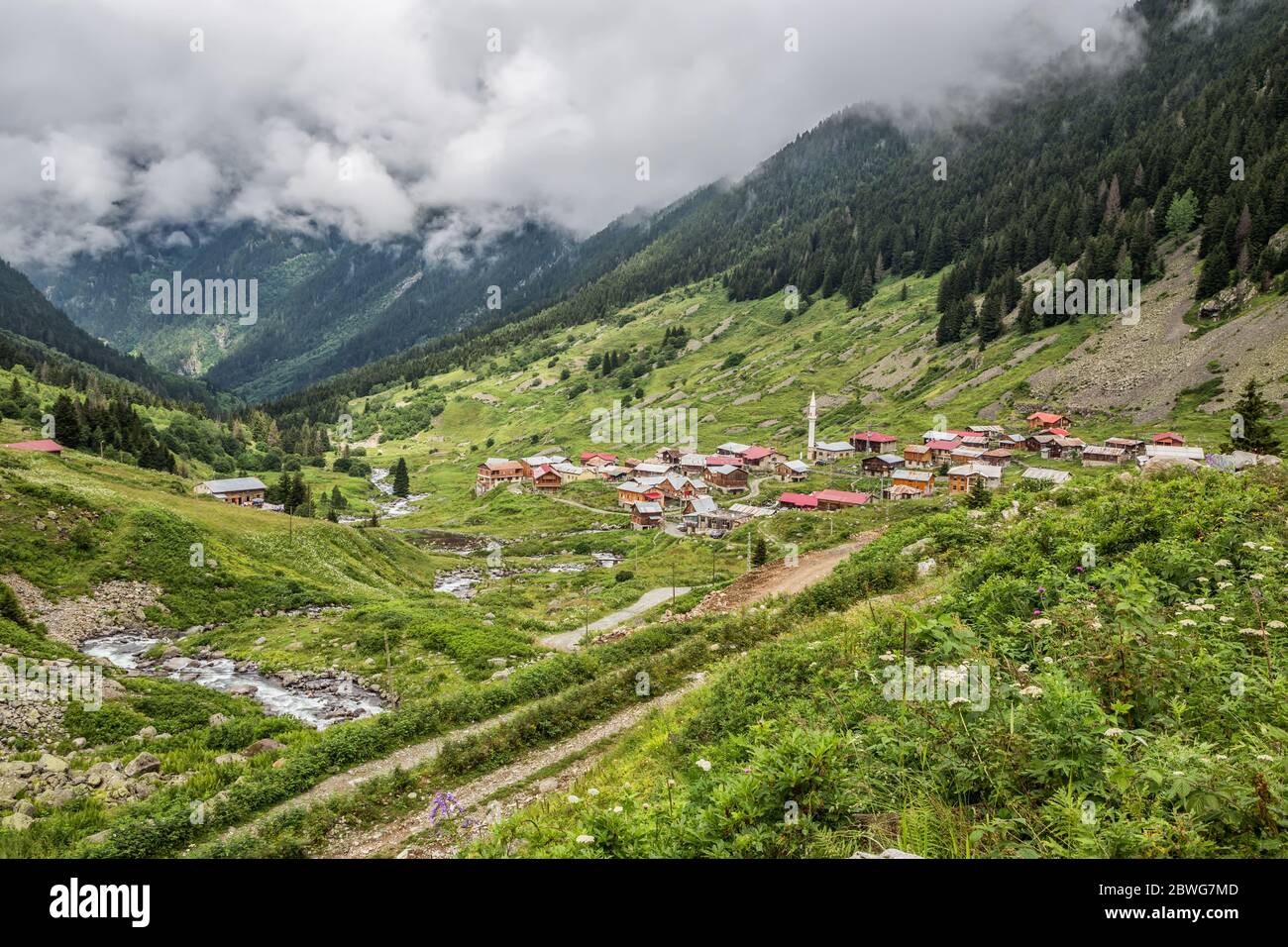 The magnificent nature, fog, green cover and wooden houses of Rize's ...