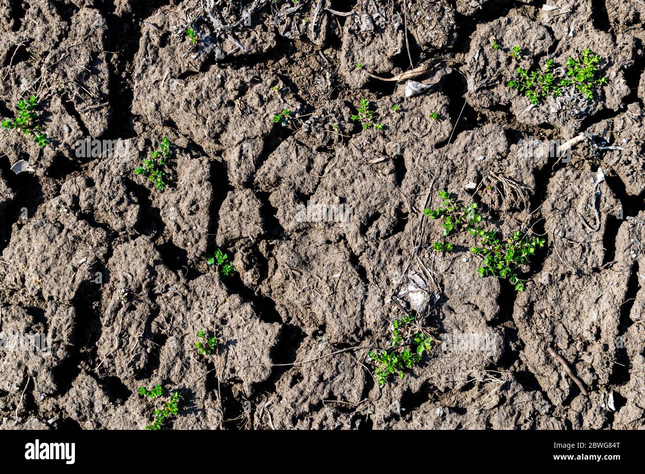 Dry eroded soil detailed closeup background Stock Photo - Alamy Dry eroded soil detailed closeup background Stock Photo - Alamy