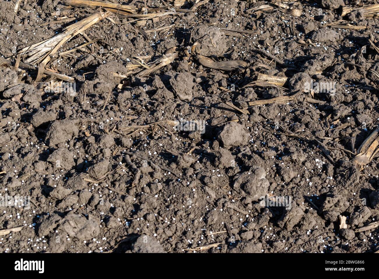 Soil on the field covered with mineral fertilizer pellets Stock Photo ...