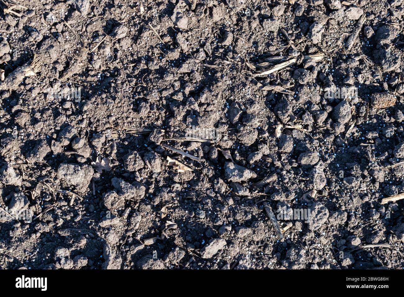 Soil on the field with mineral fertilizer Stock Photo - Alamy