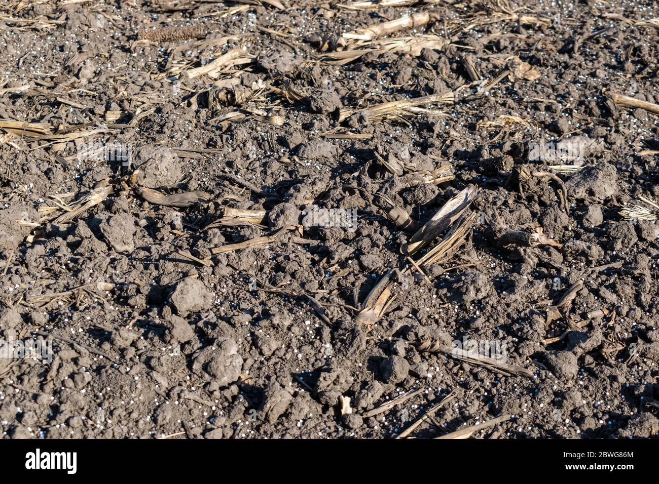 Soil on the field covered with fertilizer pellets texture Stock Photo ...