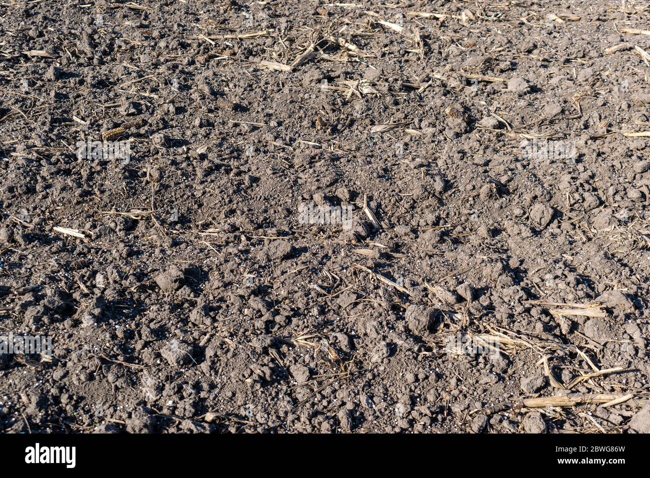 Soil on the field with mineral fertilizer Stock Photo - Alamy