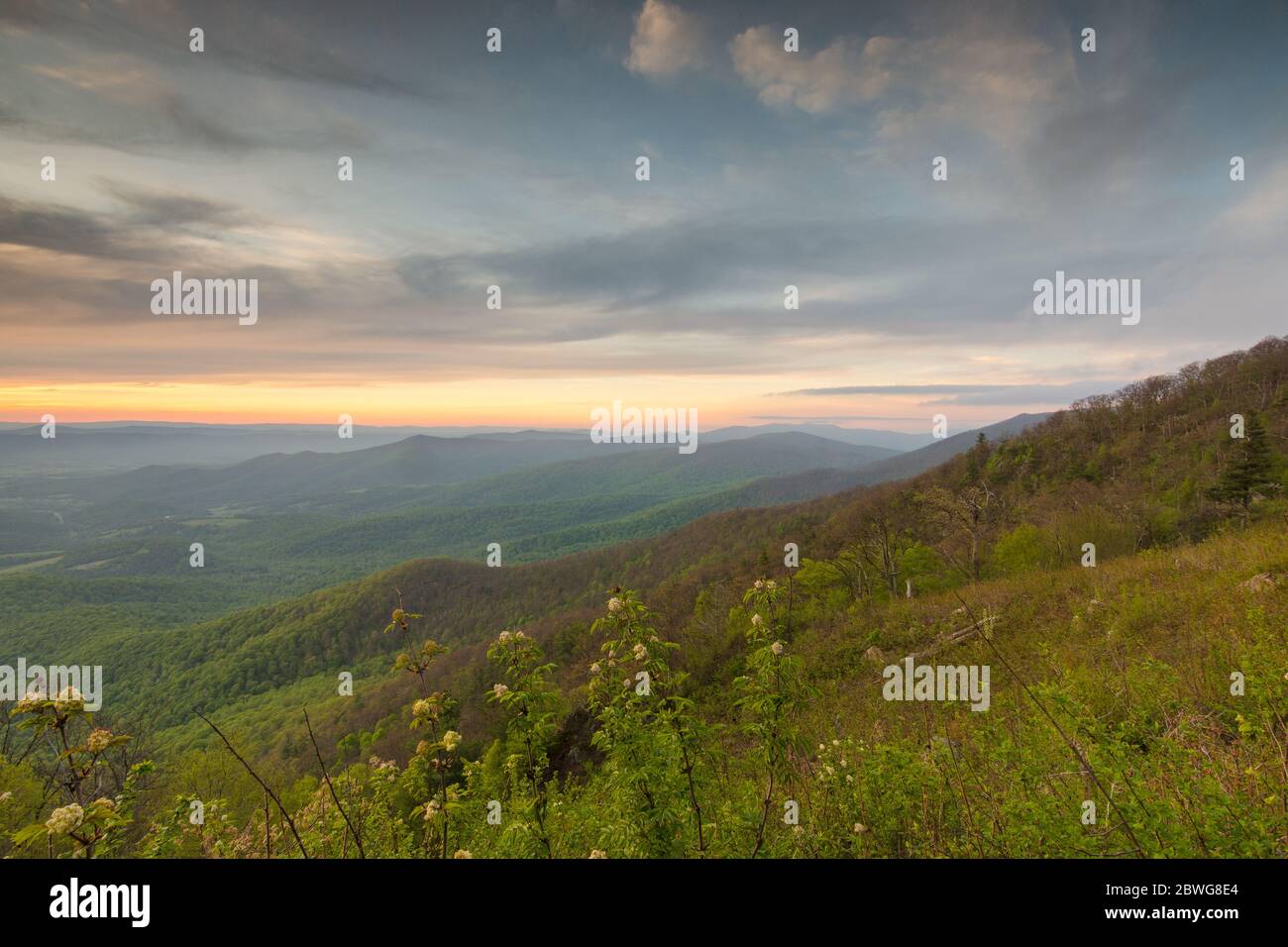 Shenandoah national park spring hi-res stock photography and images - Alamy