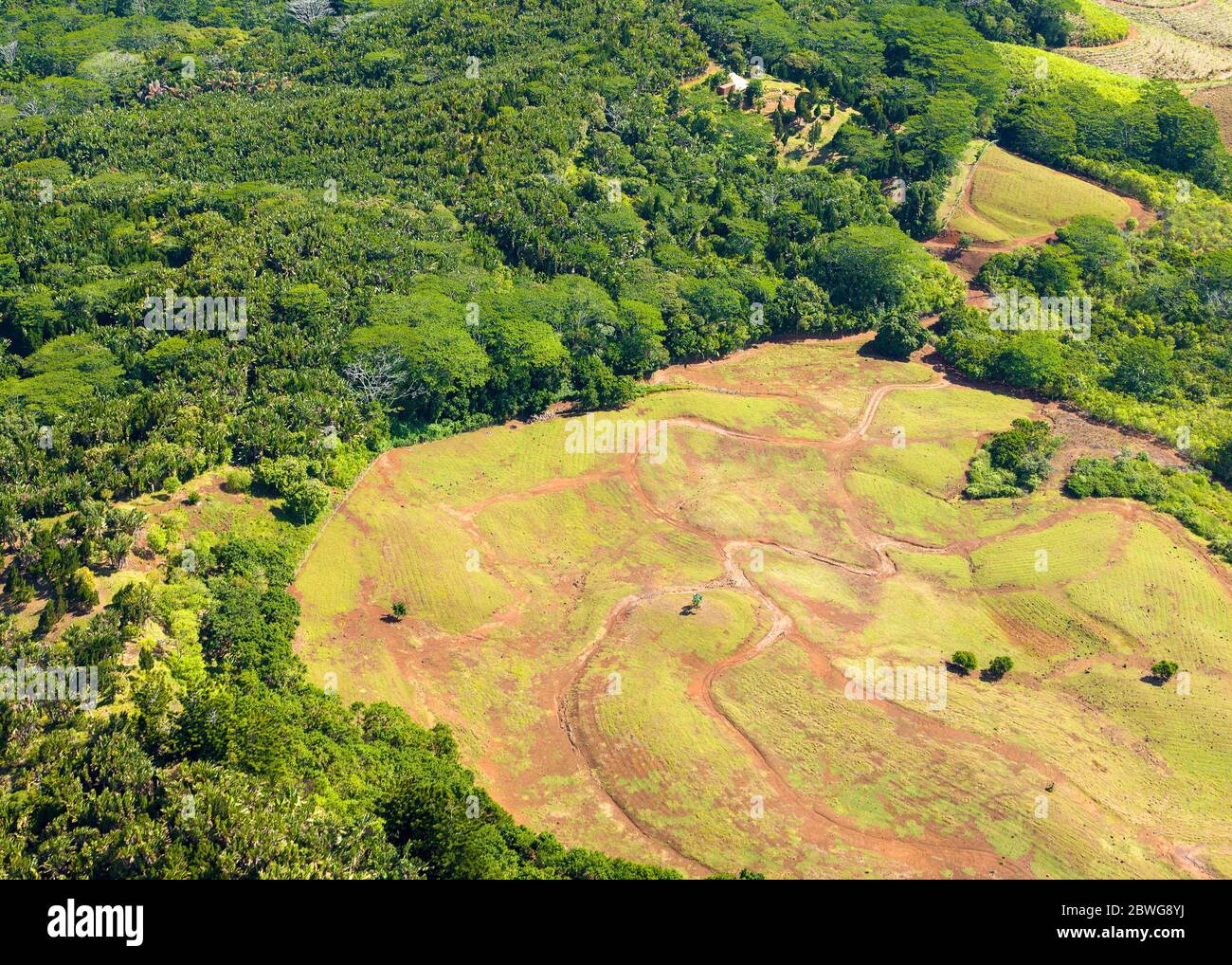Aerial view of Mauritius island panoramic landscape with green tropical ...