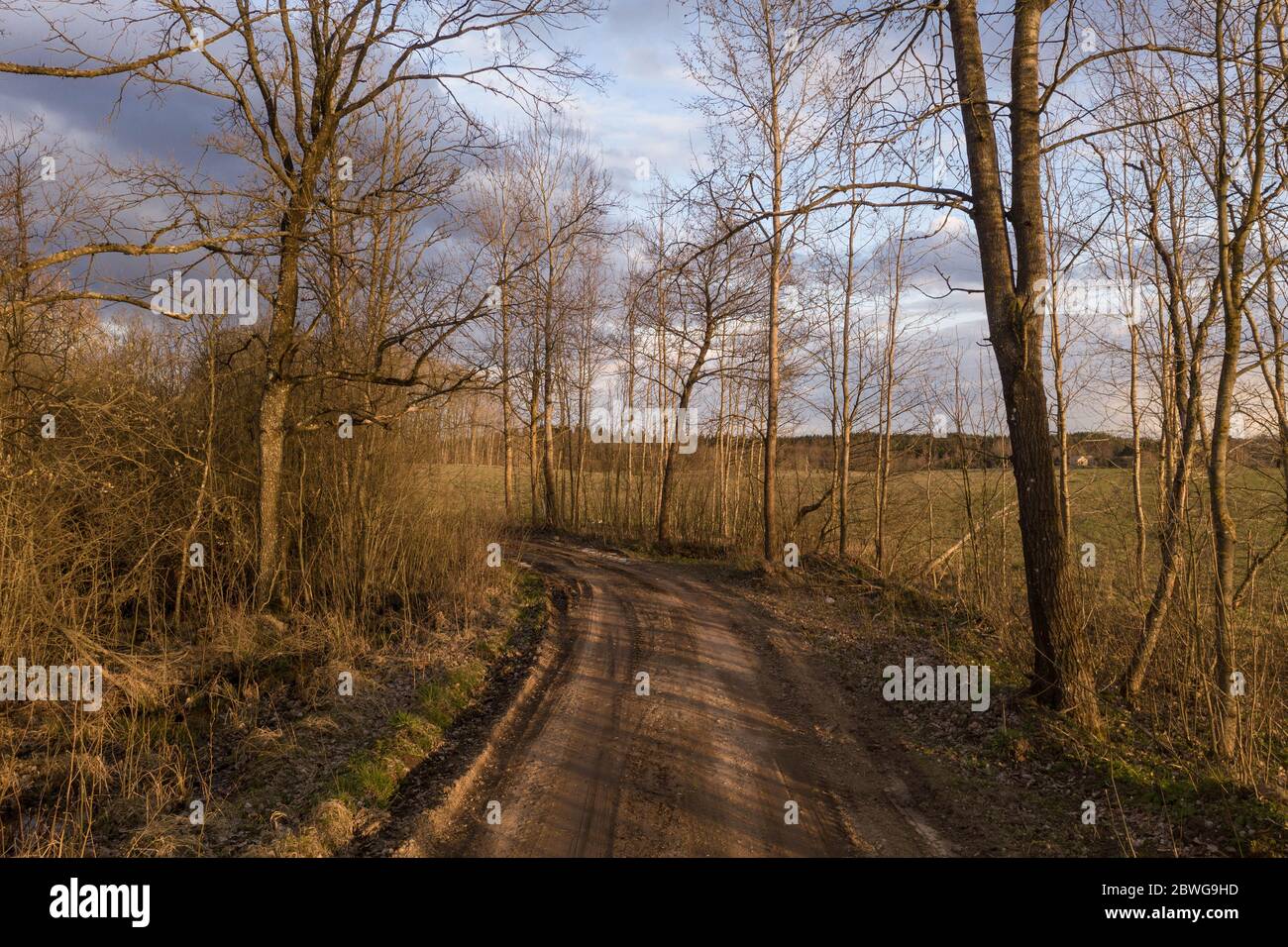 Aerial view dirt road trees hi-res stock photography and images - Alamy