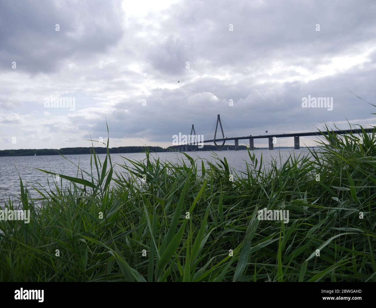 Green grass in front of a bridge Stock Photo - Alamy