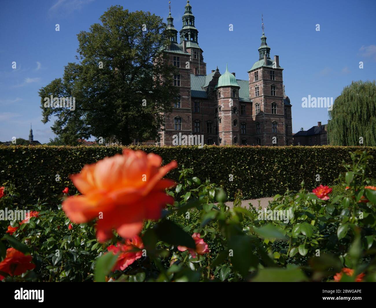 An orange flower in front of an ancient castle Stock Photo - Alamy