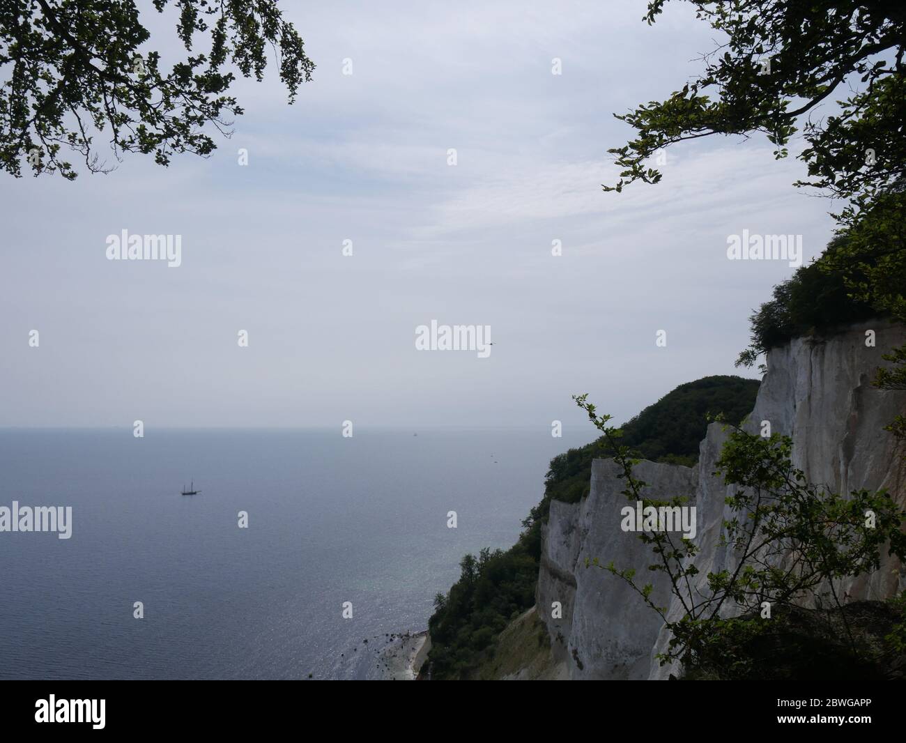 Trees in front of a coast Stock Photo - Alamy