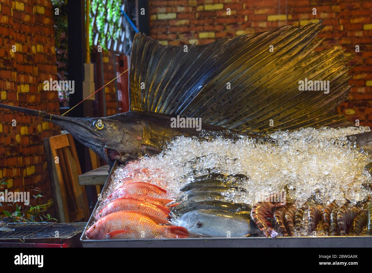 Rai Ley, Fresh Marlin for sale 170120 Stock Photo - Alamy