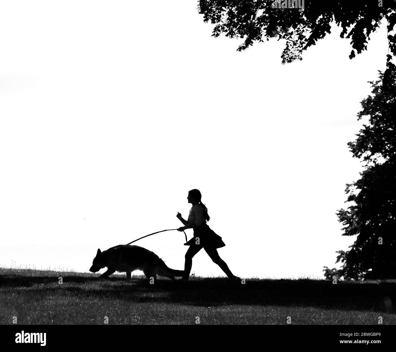 Woman running with a dog on a lead Stock Photo - Alamy
