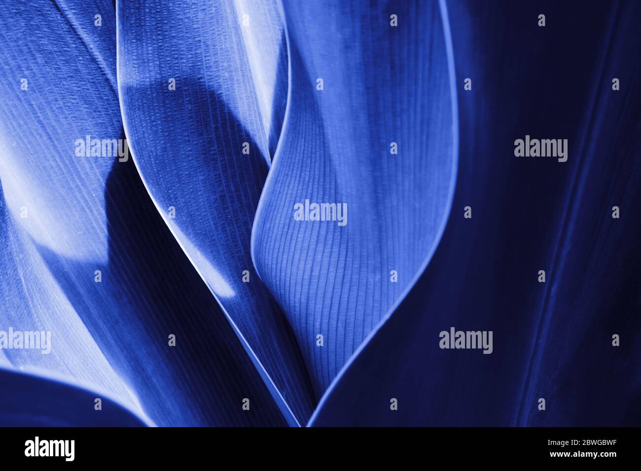 Dark tinted landscape hi-res stock photography and images - Alamy