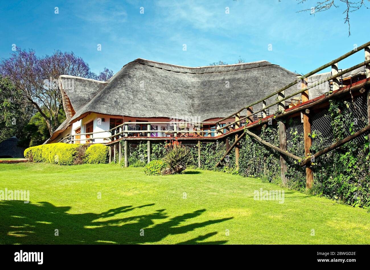 large building, thatched roof, elevated, deck, plantings, green grass ...