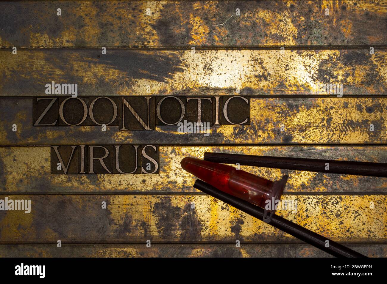 Photo of real authentic typeset letters forming Zoonotic Virus text on ...