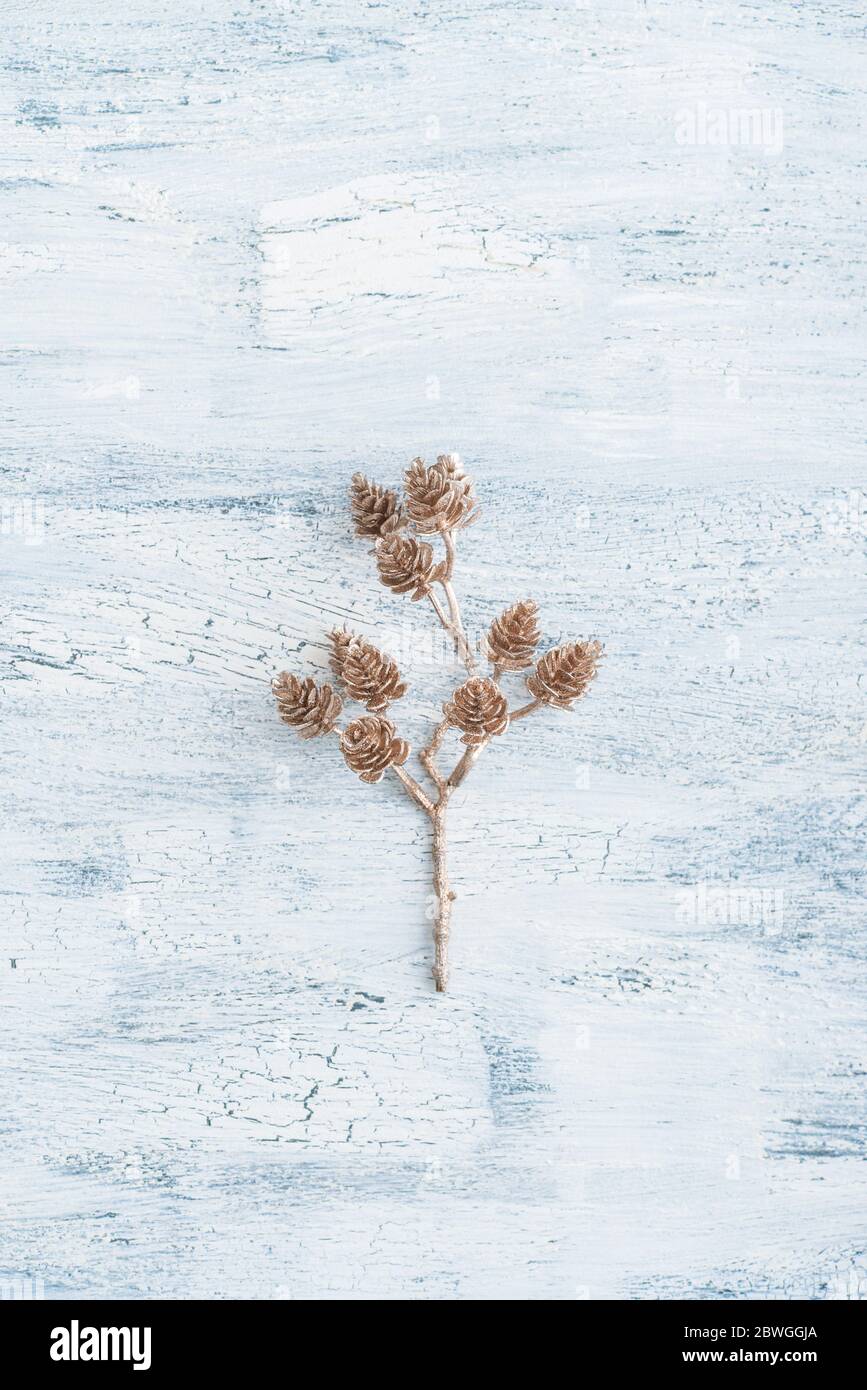 Decorative golden twig with pine cones on white wooden background with ...