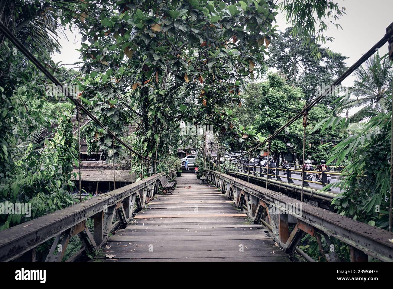 Bridge river ubud bali indonesia hi-res stock photography and images ...