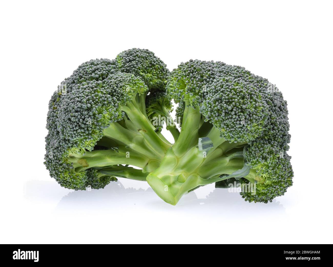 Broccoli isolated on white background Stock Photo - Alamy