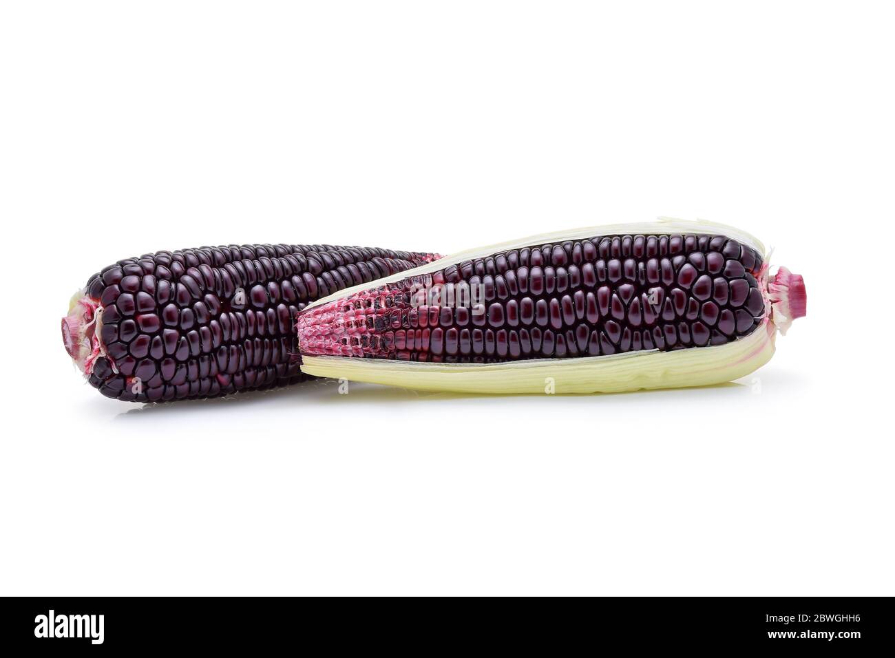 purple corn on white background Stock Photo - Alamy