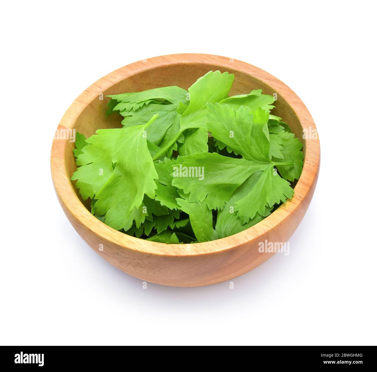 fresh parsley bunch isolated on white background Stock Photo - Alamy