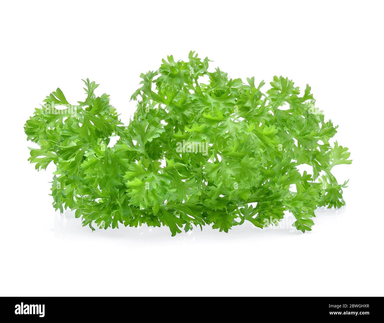 parsley isolated on white background Stock Photo - Alamy