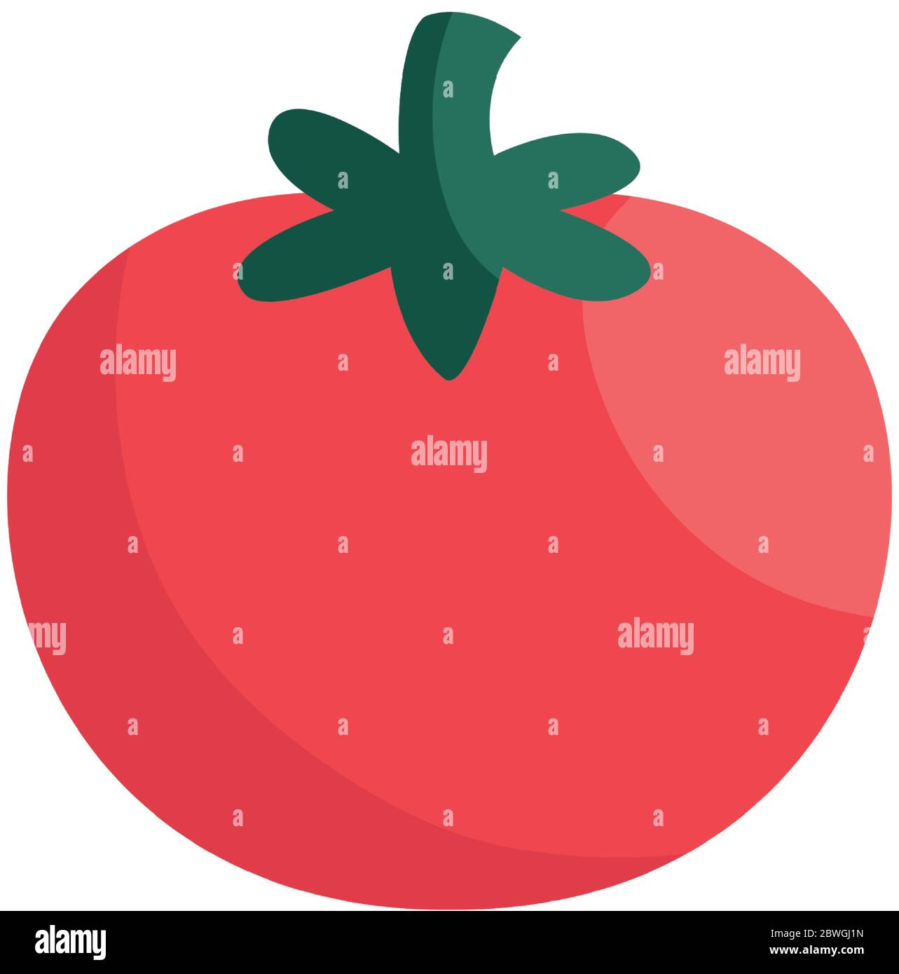 tomato detail style icon vector design Stock Vector Image & Art - Alamy